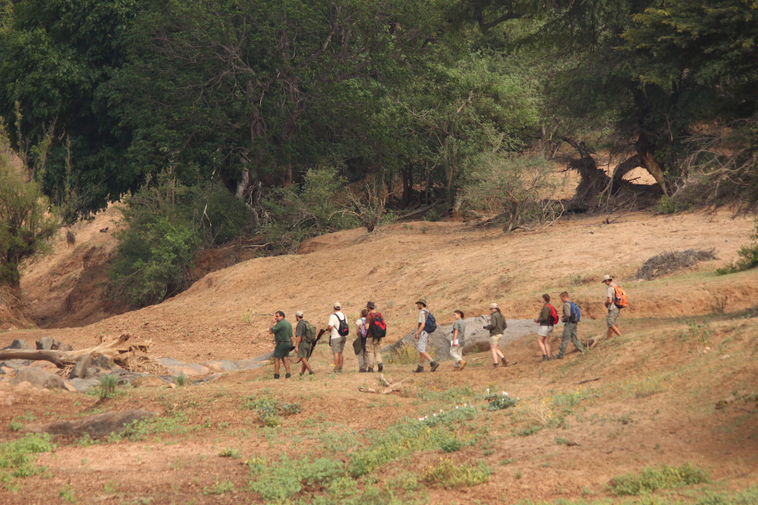 Gallery - The Nature College