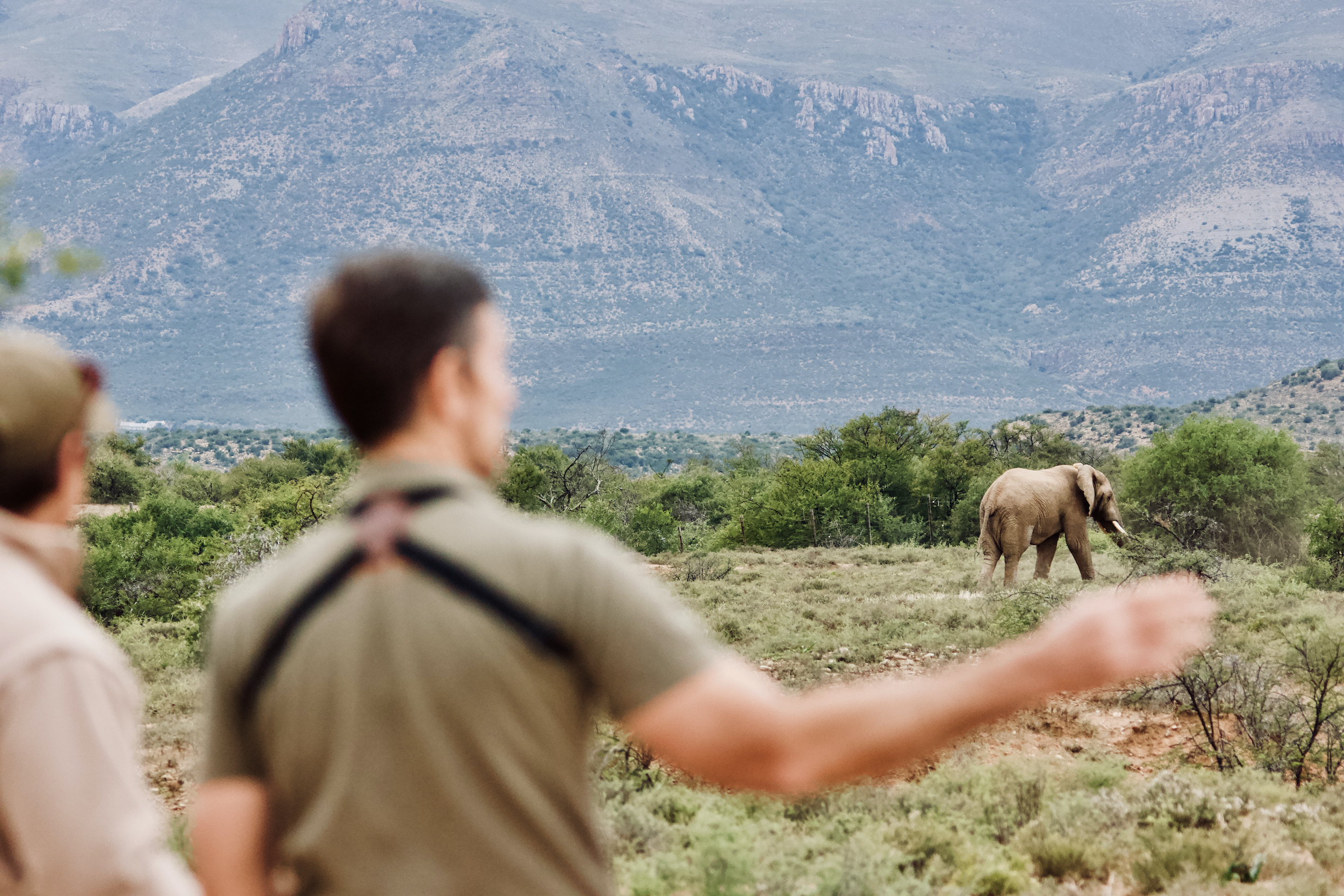 40-day Nature Guiding Course - The Nature College